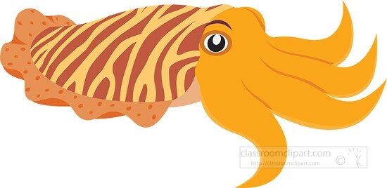 mollusks giant squid 713 - Classroom Clipart