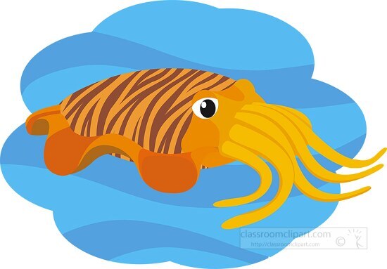 cuttlefish mollusk clipart 614 - Classroom Clip Art