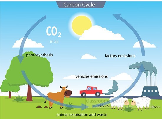 diagram of the carbon cycle clipart - Classroom Clip Art
