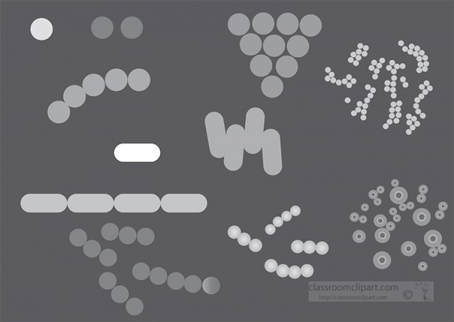 different types and shapes of bacteria vector gray color - Classroom ...