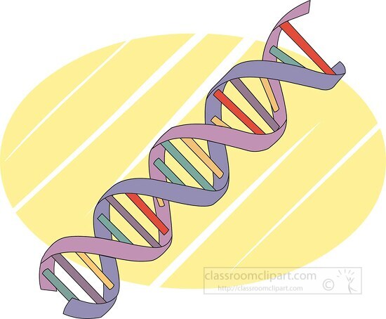 dna double helix - Classroom Clip Art