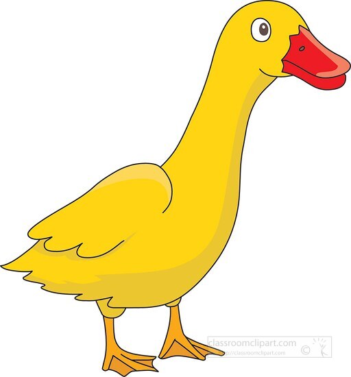duck orange beak clipart - Classroom Clip Art
