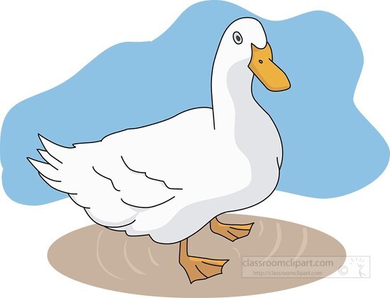 Bird Clipart - ducks 02 standing