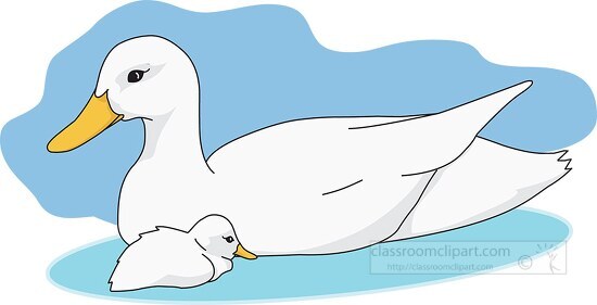 ducks baby mother duck - Classroom Clip Art