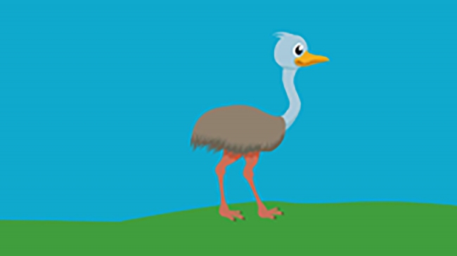 emu animal animated clipart