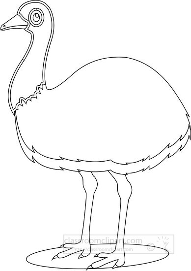 emu bird black white outline black white outline clipart