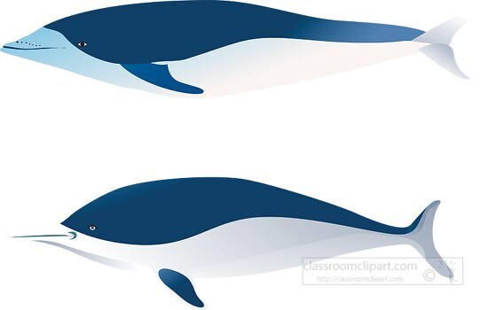 example of whale and dolphin vector clipart - Classroom Clip Art