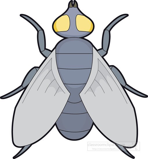 Free fly with yellow eyes insects clipart - Classroom Clipart
