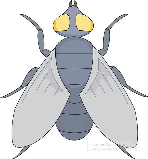 Insect Clipart-fly with yellow eyes insects clipart
