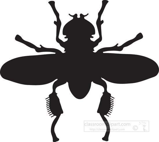 flying insect silhouette clipart - Classroom Clip Art