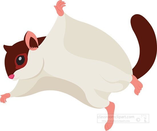flying squirrel clipart - Classroom Clip Art