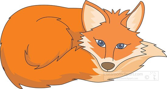 fox curled up resting - Classroom Clipart