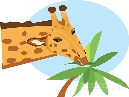 giraffe stretching neck to reach plant leaf - Classroom Clip Art