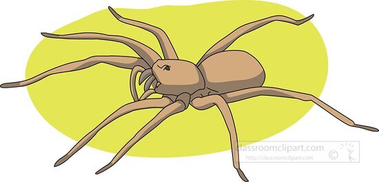 golden orb spider clipart - Classroom Clip Art