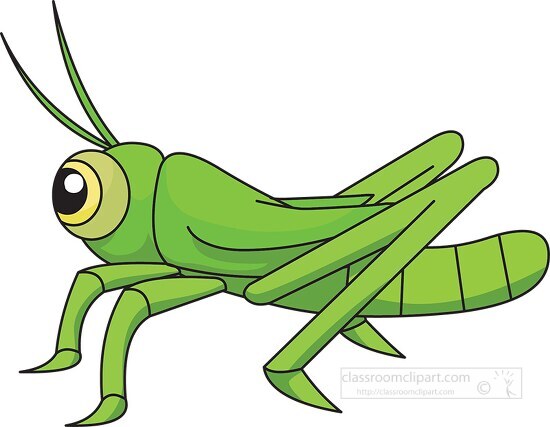 grasshopper green insects - Classroom Clip Art