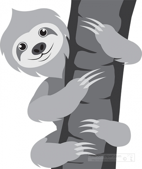gray clipart sloth hanging on tree branch - Classroom Clipart