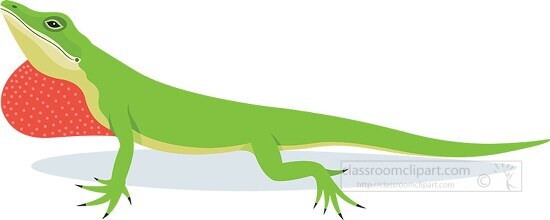 green anole small reptile clip art illustration - Classroom Clip Art