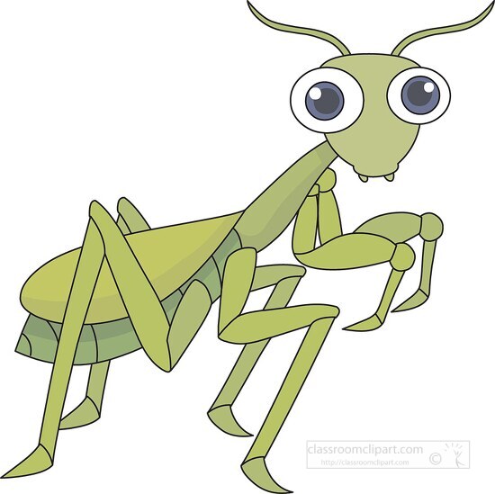 Insect Clipart - green praying mantis insect clipart