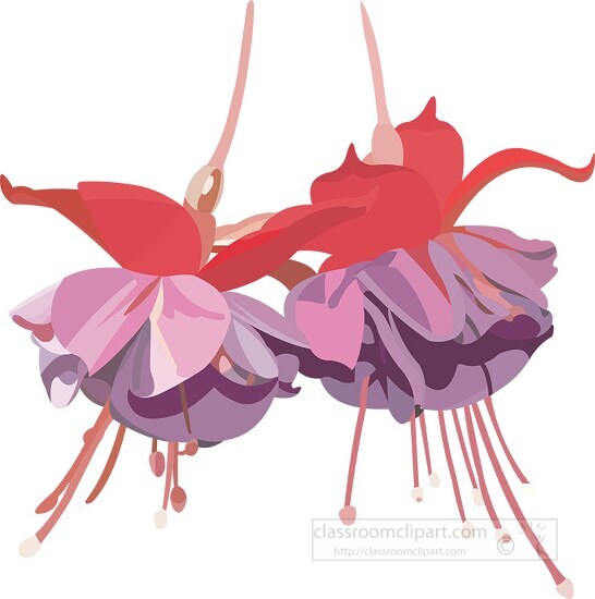 Free hanging pink and purple fuschia flower vector clipart image ...