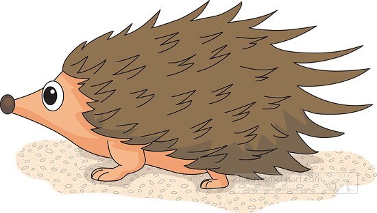 Free hedgehog insectivores cartoon sideview clipart - Classroom Clipart