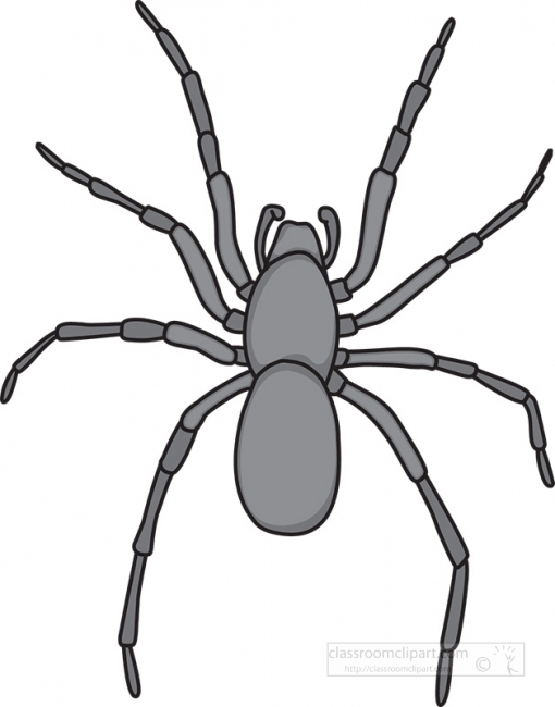 house spider grayscale clipart - Classroom Clip Art