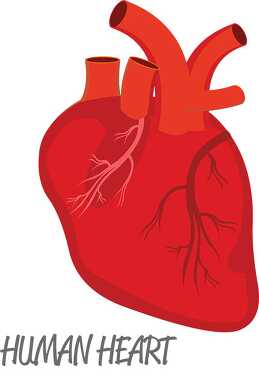 human heart clipart - Classroom Clip Art