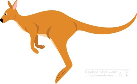jumping kangaroo australian wildlife vector clipart - Classroom Clip Art
