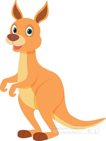 kangaroo australian marsupial animal clipart - Classroom Clip Art