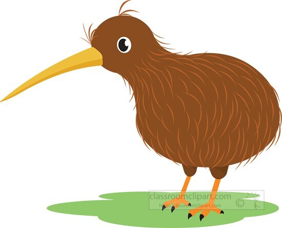 Kiwi Bird Clipart - Classroom Clip Art