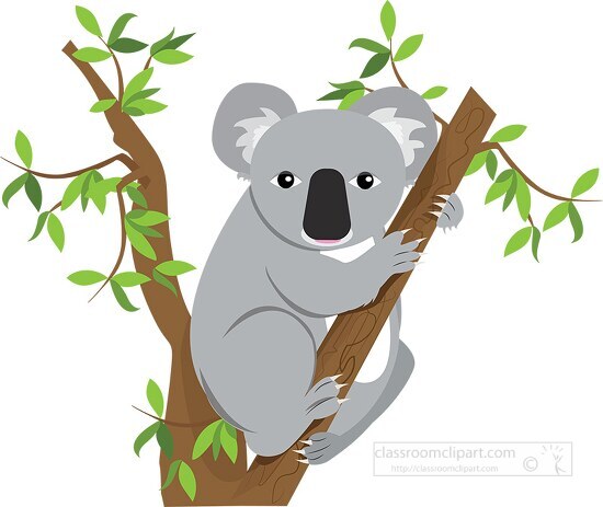 koala sitting between tree branches vector clipart - Classroom Clip Art