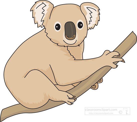 cute koala clipart - Classroom Clip Art