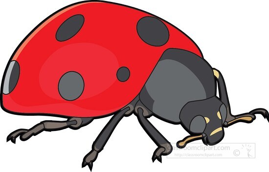 lady bug 728 - Classroom Clip Art