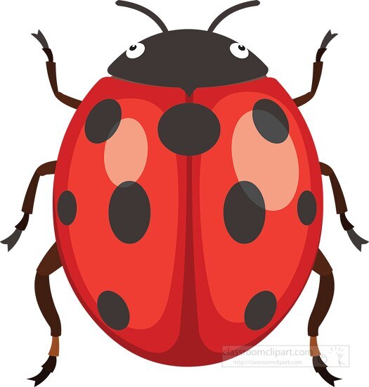 Free ladybug ladybird insect clipart - Classroom Clipart