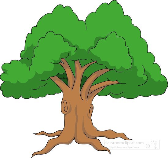 Free large green tree clipart 5727a - Classroom Clipart