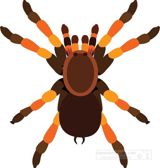 large tarantula spider clipart - Classroom Clip Art