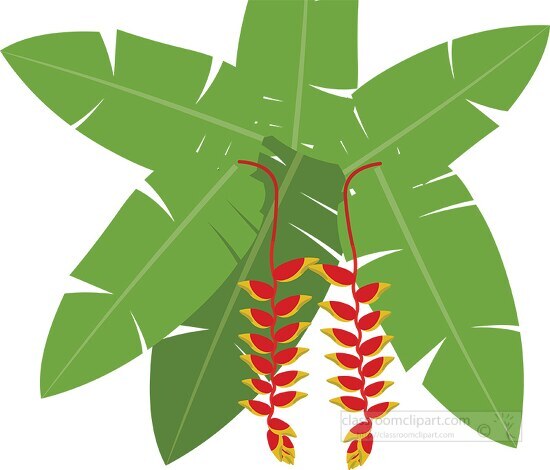 lobster claw flowers hanging from plant clipart image - Classroom Clip Art