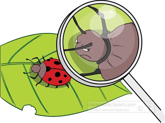 magnifying glass bug clipart - Classroom Clip Art