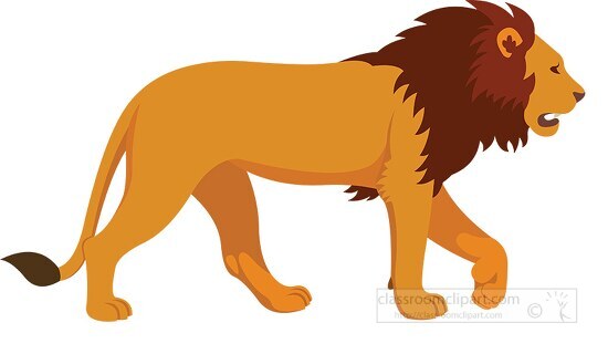 male african lion walking animal clipart - Classroom Clip Art