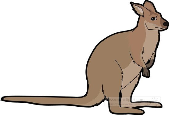 marsupial wallaby clipart - Classroom Clip Art
