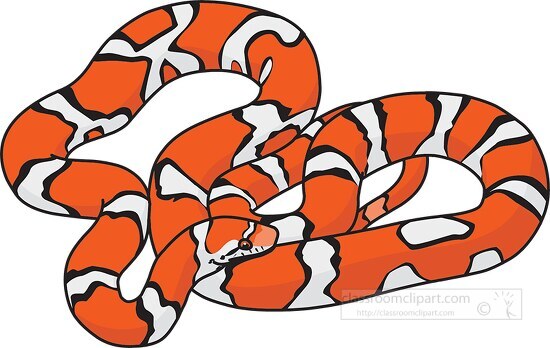 milk snake clipart - Classroom Clip Art