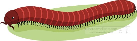 Insect Clipart-millipedes clipart 530