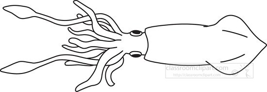 mollusks giant squid outline - Classroom Clipart