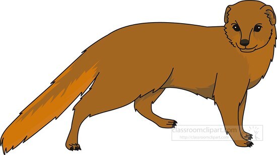 mongoose animal outline clipart - Classroom Clip Art