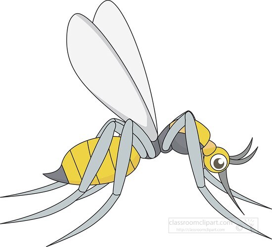 mosquito insect cartoon clipart - Classroom Clip Art