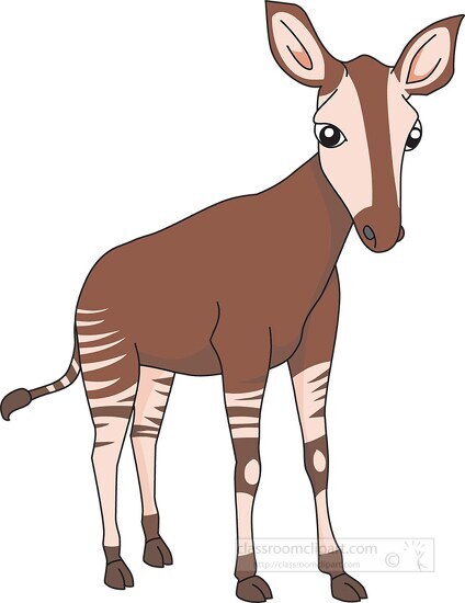 okapi africa - Classroom Clipart