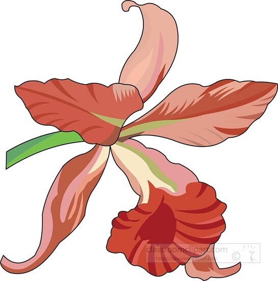 Flower Clipart-orchid flower clipart 2