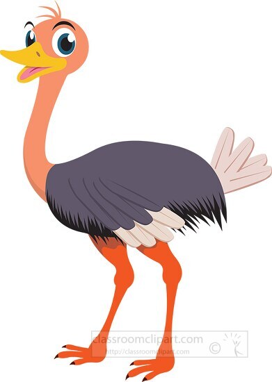 ostrich bird clipart - Classroom Clipart