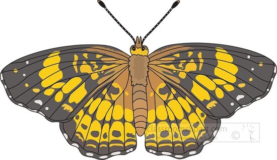 pearl crescent butterfly clipart - Classroom Clip Art