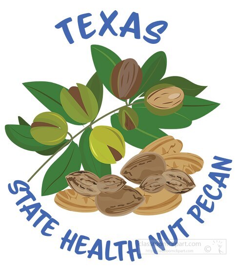 pecan state health nut of texas clipart - Classroom Clip Art