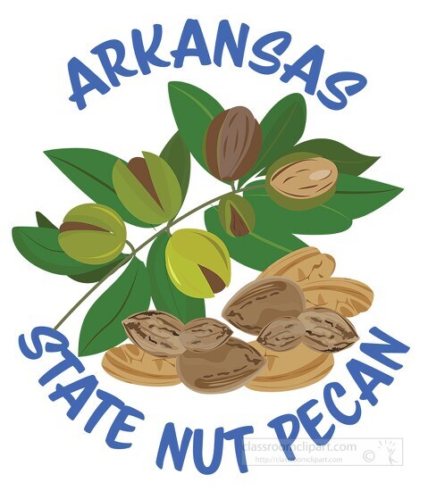 pecan state nut of arkansas clipart - Classroom Clipart